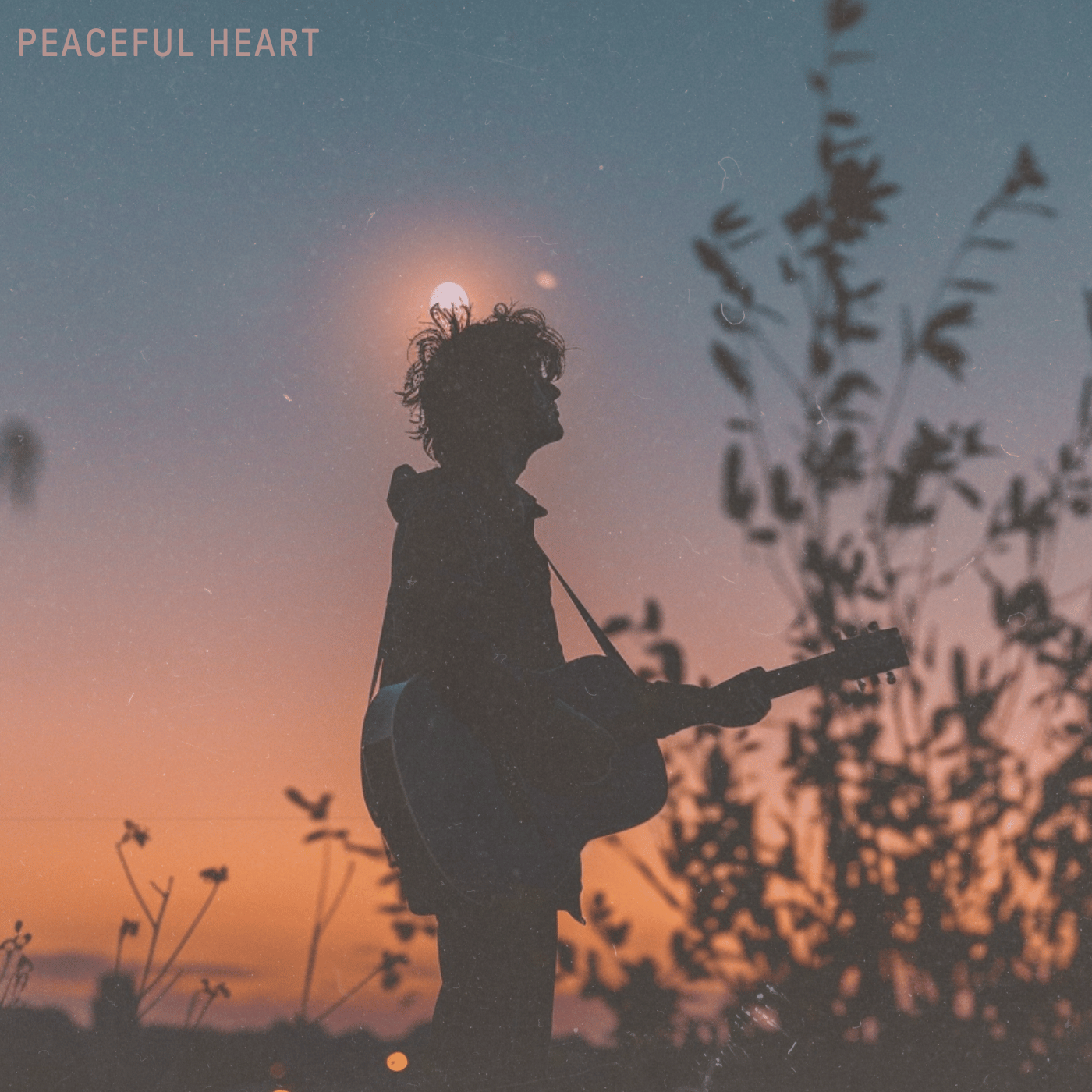 Peaceful Heart | WavMaker