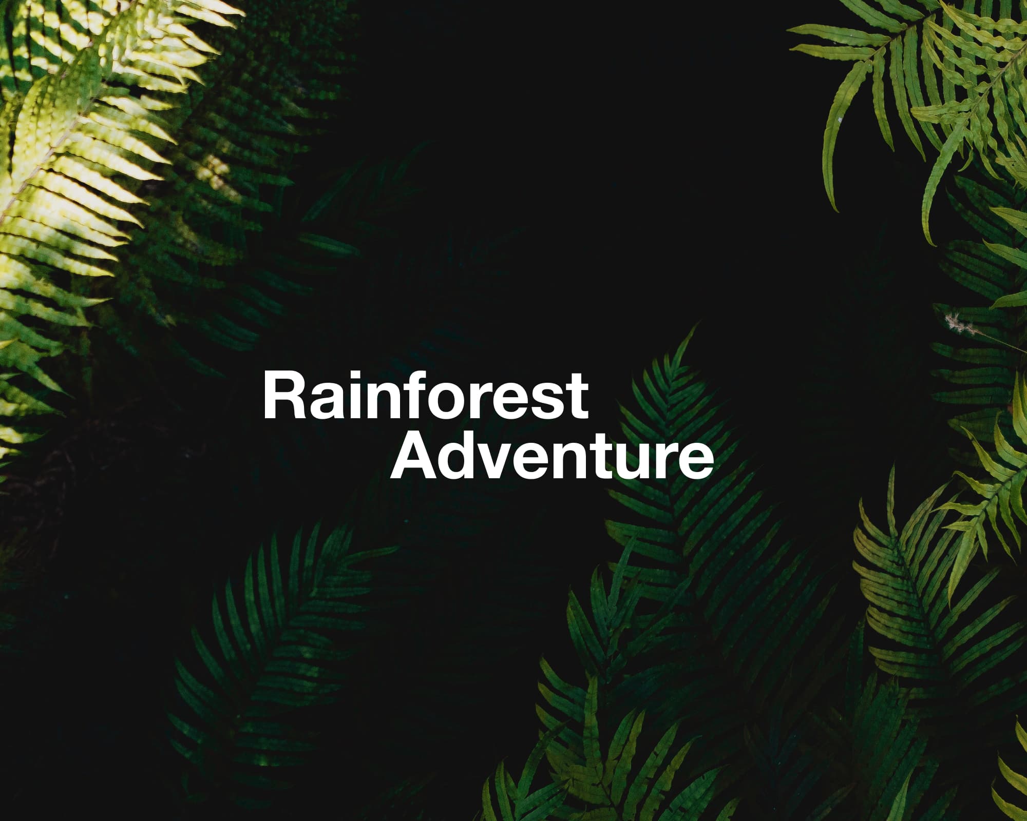 Drought - Rainforest Adventure | WavMaker