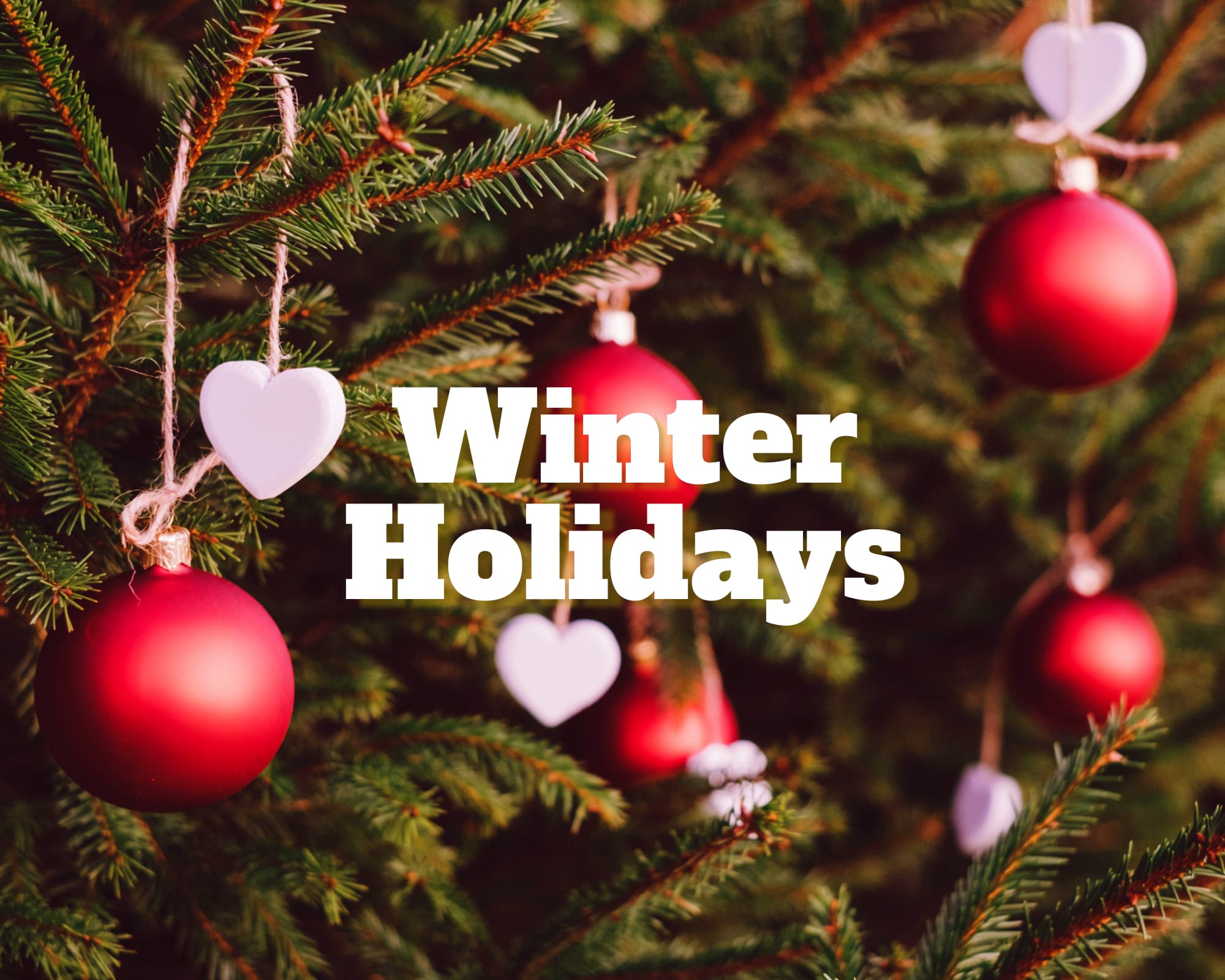 Winter Holidays | WavMaker