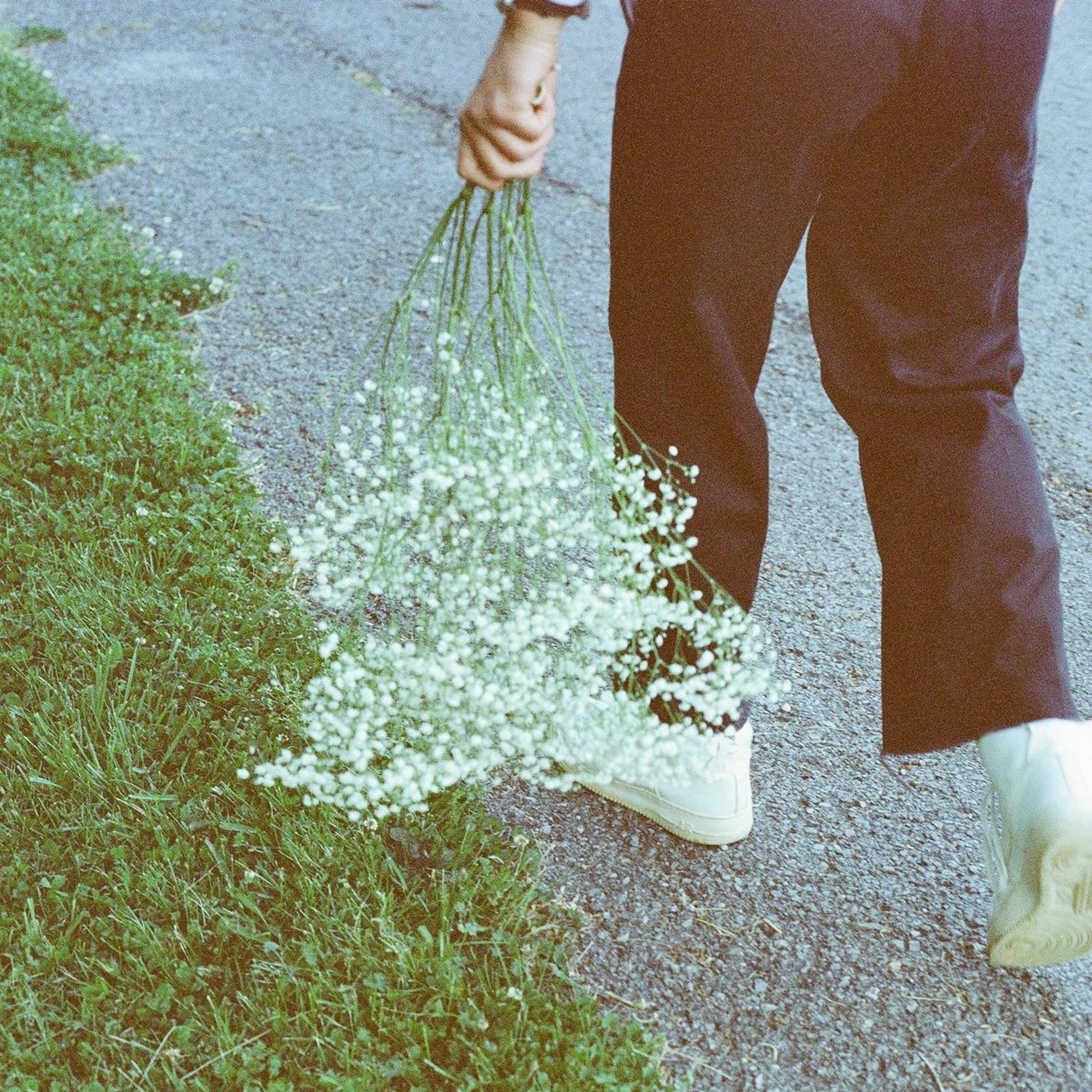 I Get Lost - Fleur de l'Amour | WavMaker