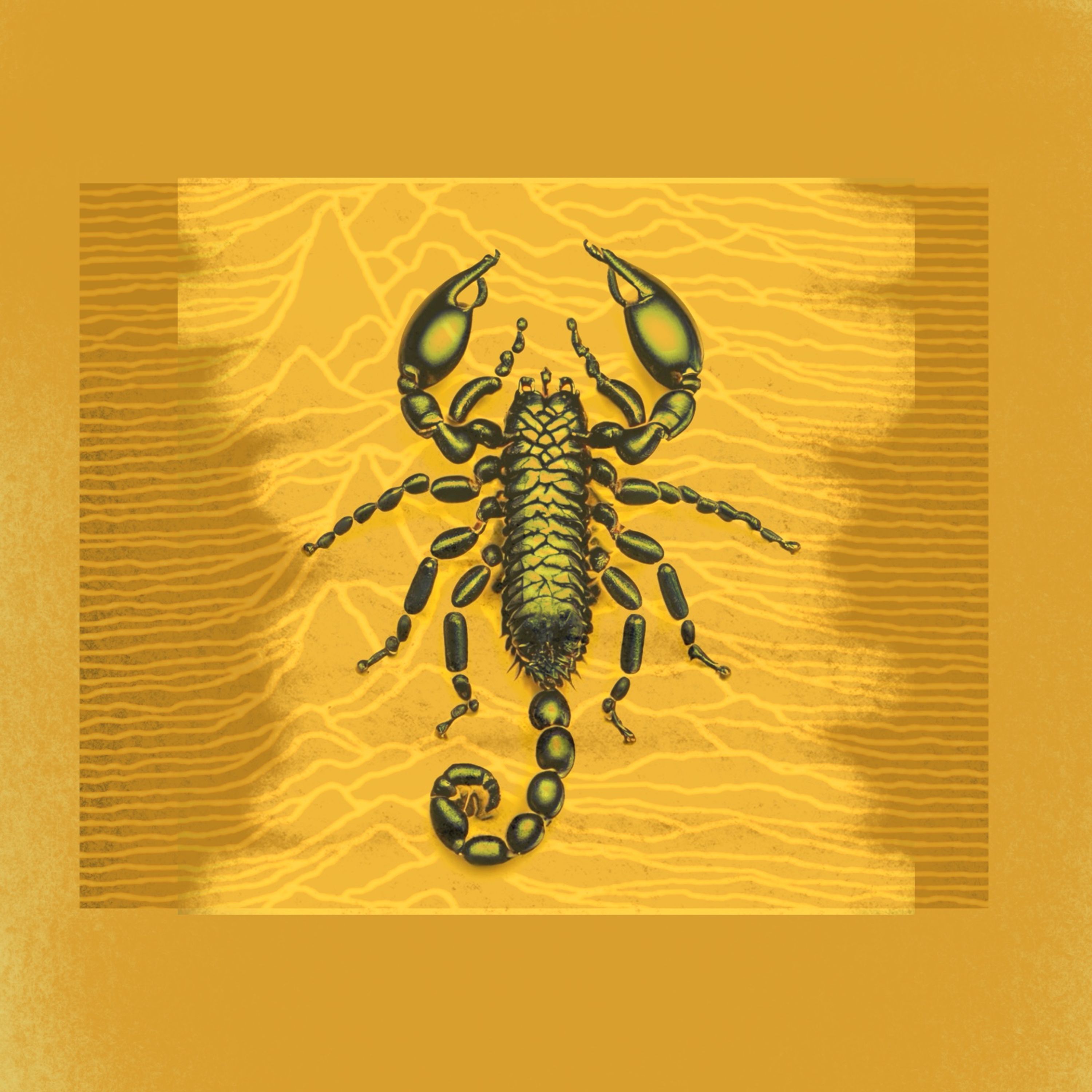 El Alacrán | WavMaker