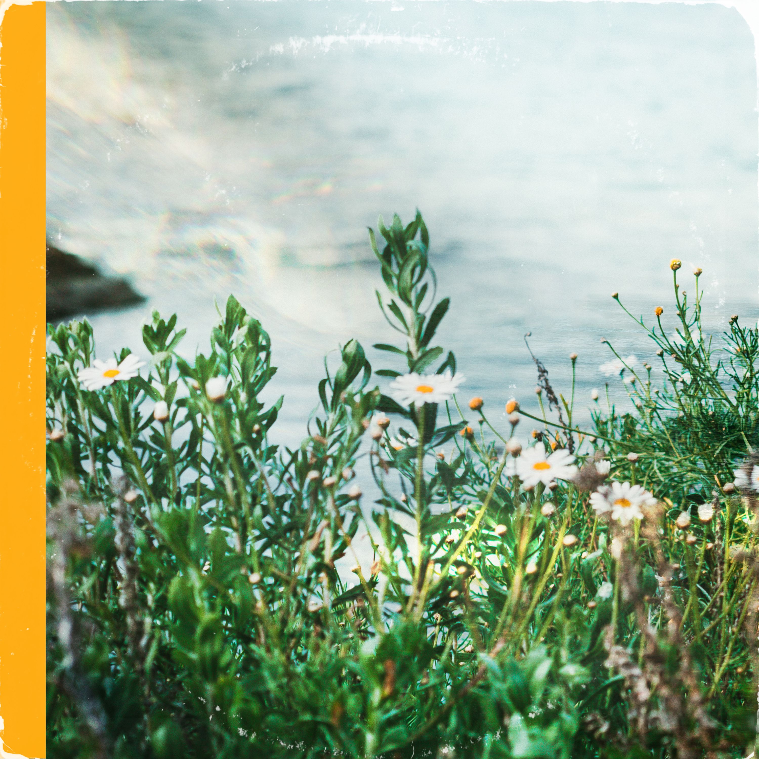 Novel Heart | WavMaker