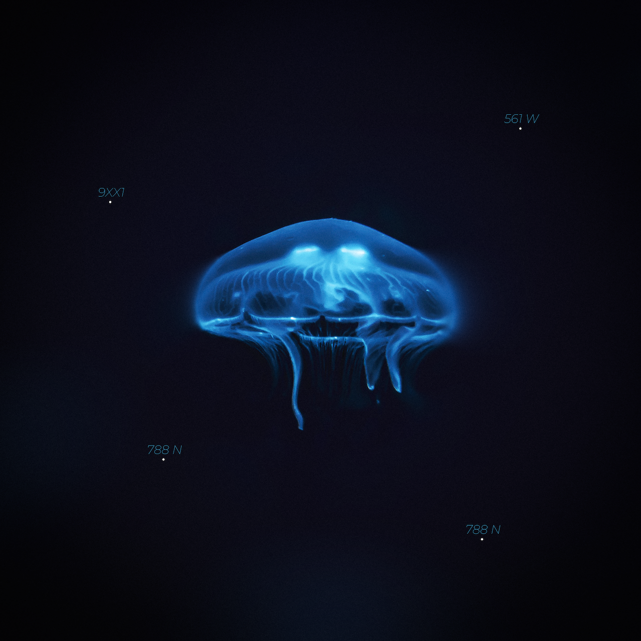 Snowed Under - Something from Nothing | WavMaker